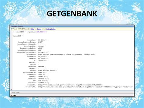 Matlab Bioinformatics Presentation Pptx Programming Languages