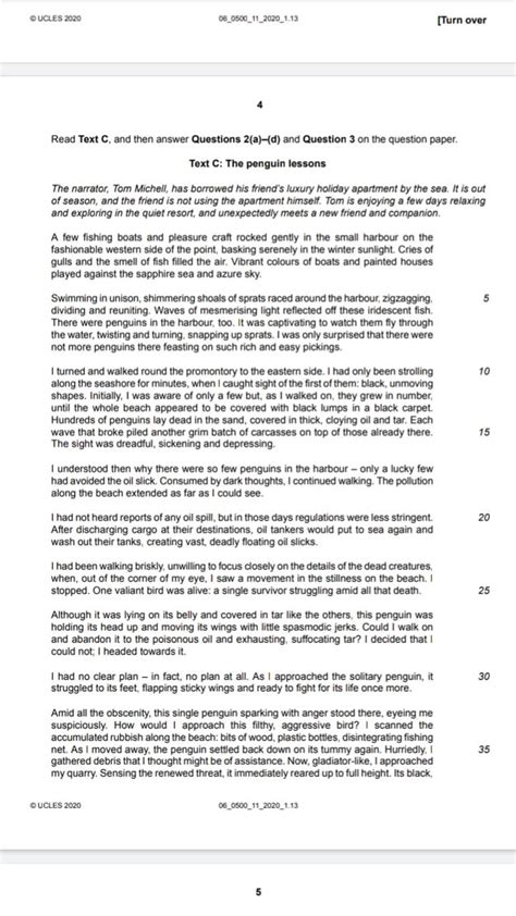 I Need Help With English Essay R Igcse