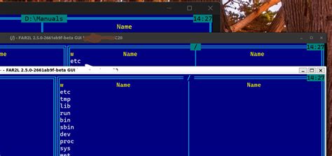 Clipboard Not Yet Working In Windows11 Wslg Gui · Issue 1658 · Elfmz