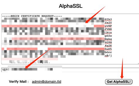 ssl 泛域名证书申请，别在用 let s encrypt 了，这次我选萌咖 老郭种树