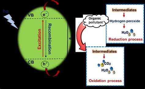 Schematic Illustration Of Typical Photocatalysis Over TiO2 Download Scientific Diagram