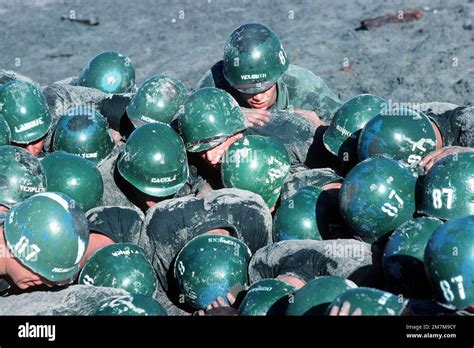 A Us Navy Basic Underwater Demolitionsea Air Land Seal Buds Trainees Participate In A A Us Navy Basic Underwater Demolitionsea Air Land Seal Buds Trainees Participate In A