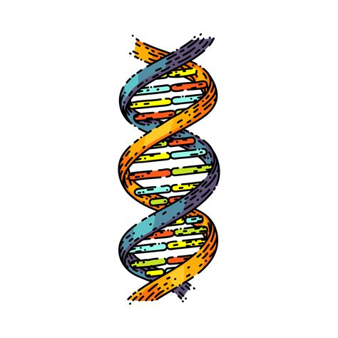 Dna Science Sketch Hand Drawn Vector 17407821 Vector Art At Vecteezy