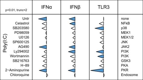 HD11 cells were pre-treated with inhibitors and then incubated with ...