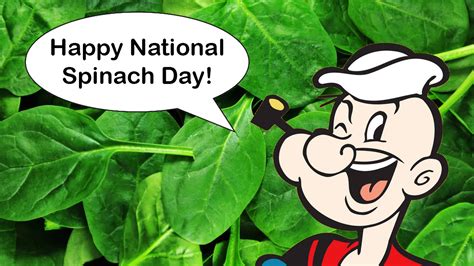 Happy National Spinach Day By Uranimated18 On Deviantart