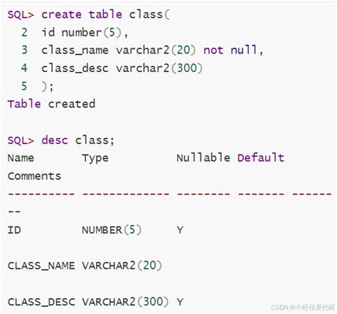 Oracle数据的完整性数据完整性校验 Csdn博客