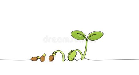 Ilustración Minimalista Que Representa Las Etapas De Crecimiento De Una