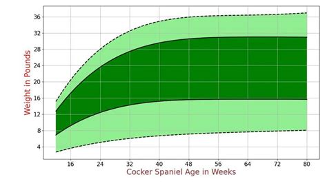 How Much Should Cocker Spaniel Weigh Cocker Spaniel Weight Calculator