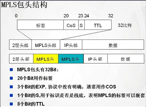 mpls报文格式 mpls报文结构 csdn博客