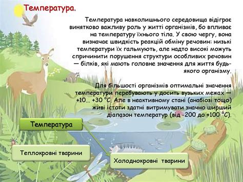 Середовища існування організмів презентация онлайн
