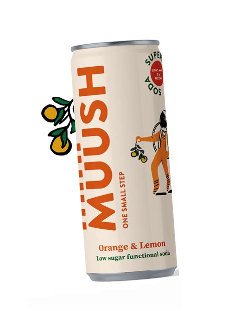 Lions Mane Drinks For A More Functional You Muush