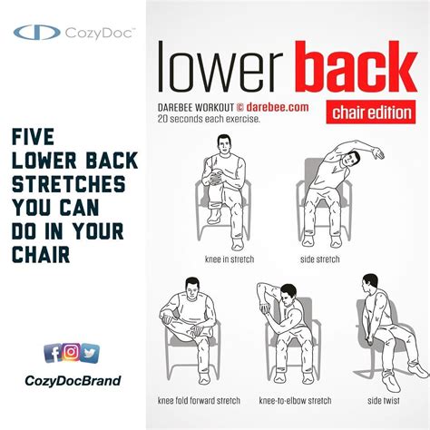 Lower Back Chair Stretches