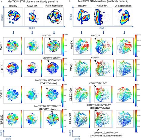 High Dimensional Characterization Of Stms Using Visne Dimensionality Download Scientific