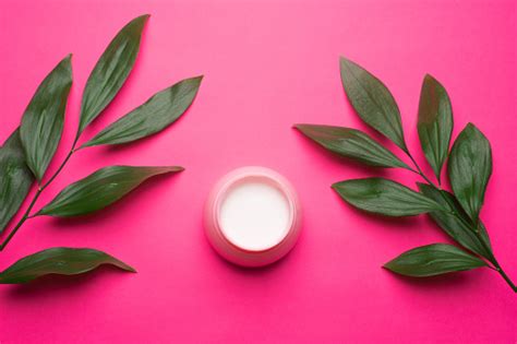 페이스 크림과 녹색 잎 미용 술 페이셜 스킨 케어 분홍색 배경 크림의 선택에 대한 기사 스파 트리트먼트 여드름 매끄럽고 깨끗한 피부 피부 영양 복사 공간 0명에 대한 스톡