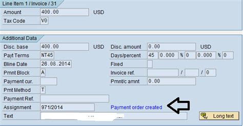 Sap Fico Central Payment Order Configuration