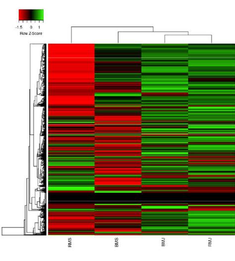 Clustering Analysis Of Gene Abundance Estimation Using Heatmaps Based