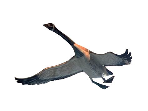 Sold At Auction Lance Lichtensteiger 20th C Nj