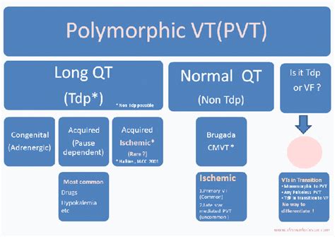 Classification Of Pvt Polymorphic Vt Dr S Venkatesan Md