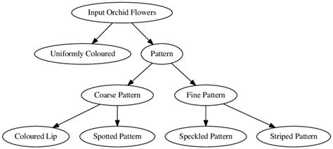 7 Scheme Of The Binary Svm Classifier Tree Download Scientific Diagram