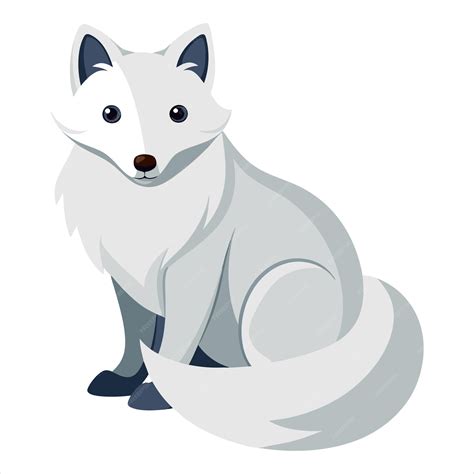 Premium Vector Arctic Fox Vector Art Wildlife Animal Illustration