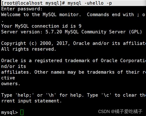 Linux端安装mysql并实现远程连接navicatlinux虚拟机中的mysql连接到navicat Csdn博客