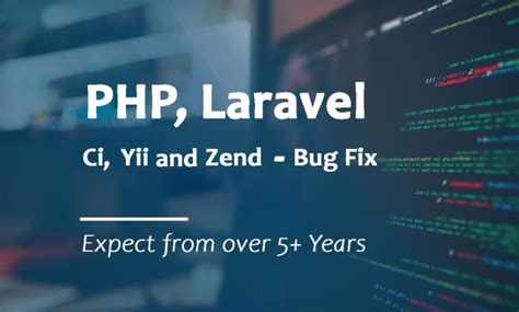 expertly bug fix of php laravel codeigniter yii zend by