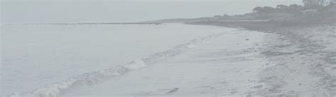 Projects Patrick Prior