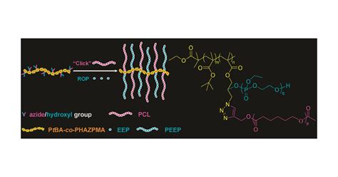 One Pot Syntheses Of Amphiphilic Centipede Like Brush Copolymers Via Combination Of Ring Opening