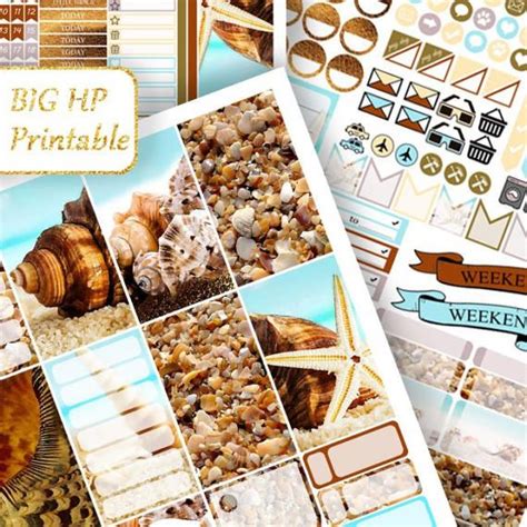 Handmade Scrapbooking Stickers With Shells And Seashells