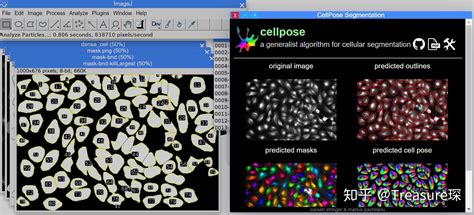 Imagej实用教程——网页版imagej 知乎