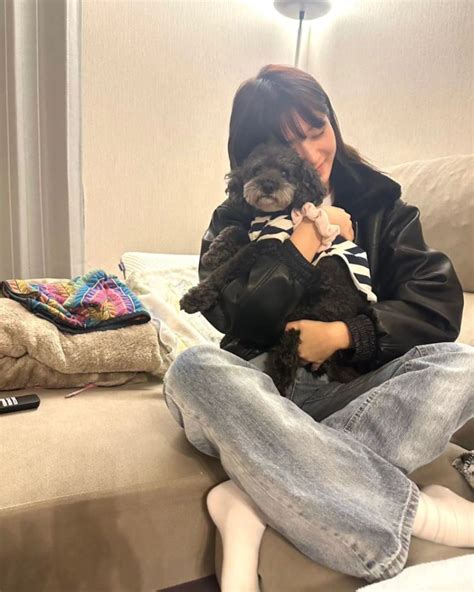 아이브 레이 강아지 있나요 지식in