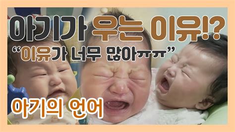 아기가 우는 이유 아기가 우는 영상 울음터지는 순간 신생아 영상 아기울음소리 아기의 언어 이해하기 신생아부터 4개월