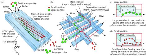 A Schematic Image Illustrating Particle Separation Behaviors Using