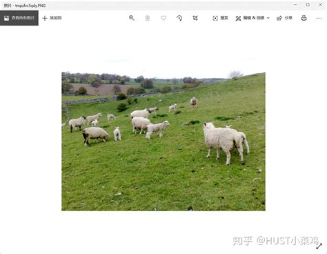 opencvmatplotlibPillow读取图像的对比 知乎 opencvmatplotlibPillow读取图像的对比 知乎
