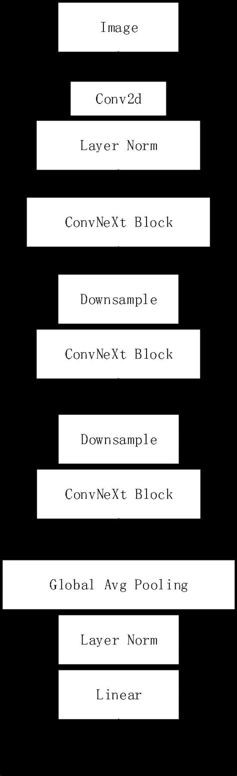 Model Structure Of Convnext Swin Transformer Block And Convnext Block Download Scientific Diagram