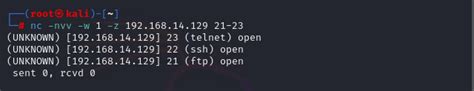Using Netcat For Port Scan Linux Hint