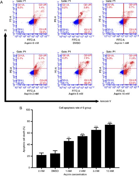 Synovial Lining Cells100 Cellsnfrptsynv Fldqn Semantic Scholar