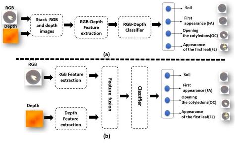 Different Types Of Rgb Depth Fusion Architectures Tested In This