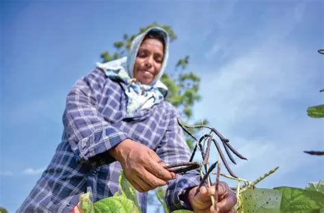 Integrated Water Resources Development Frontpage