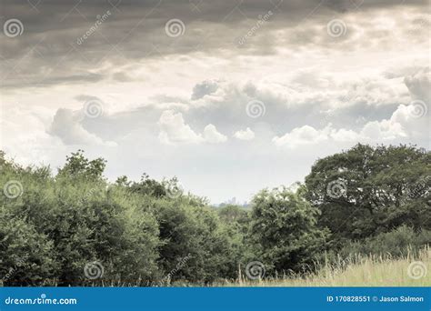 Nature And Man Made Buildings Stock Image Image Of Landscape Apartment