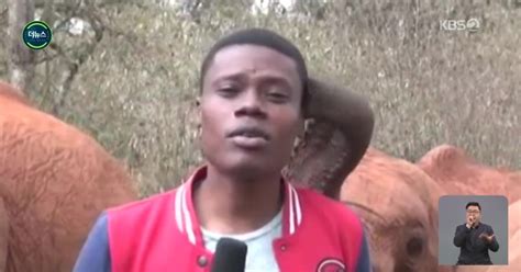 지구촌 더뉴스 장난꾸러기 새끼 코끼리가 일으킨 방송 사고