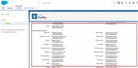 enhance profile view in salesforce
