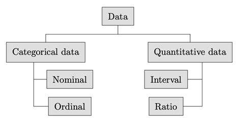 data classification