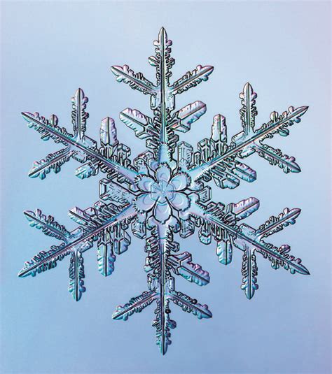 Complete Guide To Snowflake Science