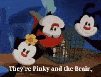 Pinky And The Brain Animaniacs What Are We Going To Do Tonight Same