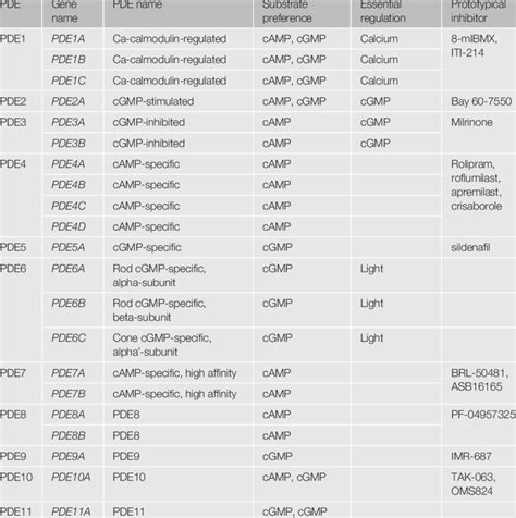 Essential Characteristics Of The 21 PDE Genes And Their Encoded Proteins Download Scientific