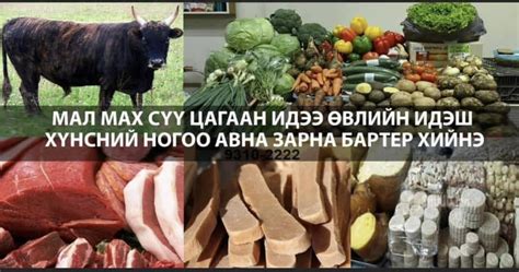 МАЛ МАХ СҮҮ ЦАГААН ИДЭЭ ӨВЛИЙН ИДЭШ ХҮНСНИЙ НОГОО АВНА ЗАРНА Үхрийн