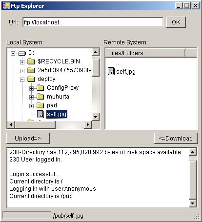 NET Talk How To Create An FTP Client In VB NET