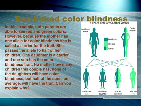 Patterns Of Inheritance Ppt Download