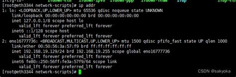 日常记录：虚拟机linux只有lo网卡怎么办？ uos server只有lo网卡 csdn博客